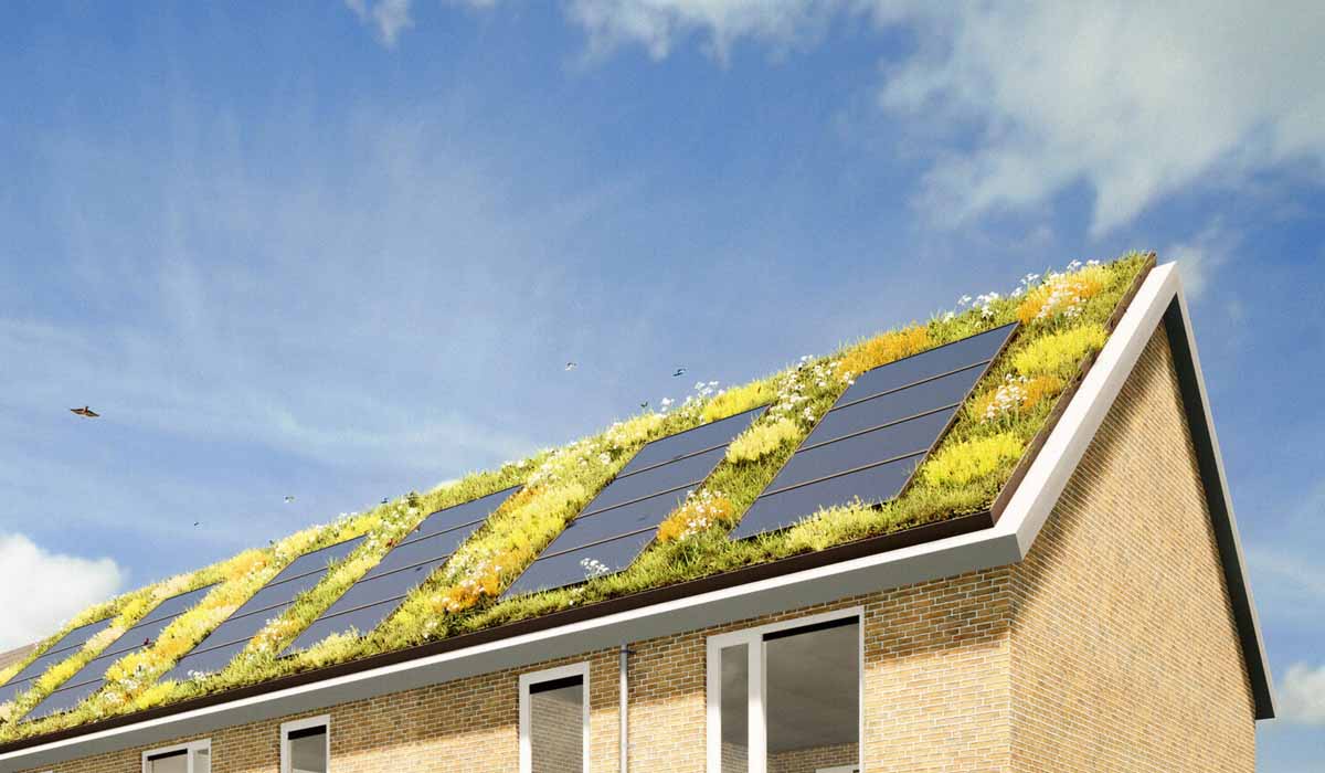 ROEF Het slimme groene dak | Modulair | Groene energie - GreenLike